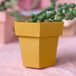Paper Plant Pots DIY Template & Tutorial - Lia Griffith