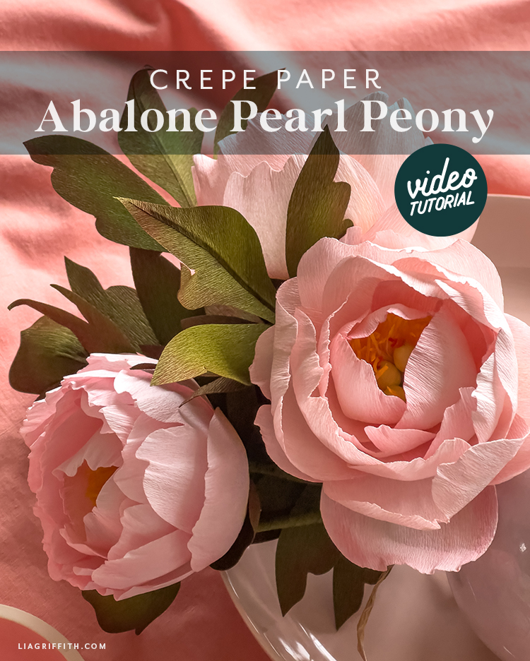 Crepe Paper Abalone Pearl Peony Template & Video Tutorial - Lia Griffith