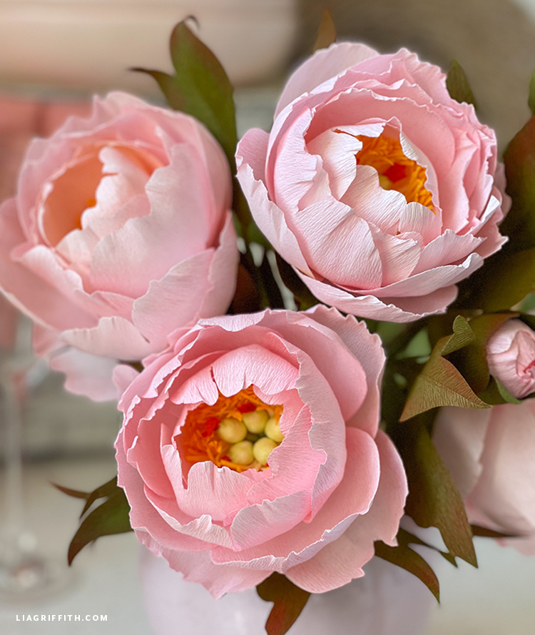 Crepe Paper Abalone Pearl Peony Template & Video Tutorial - Lia Griffith