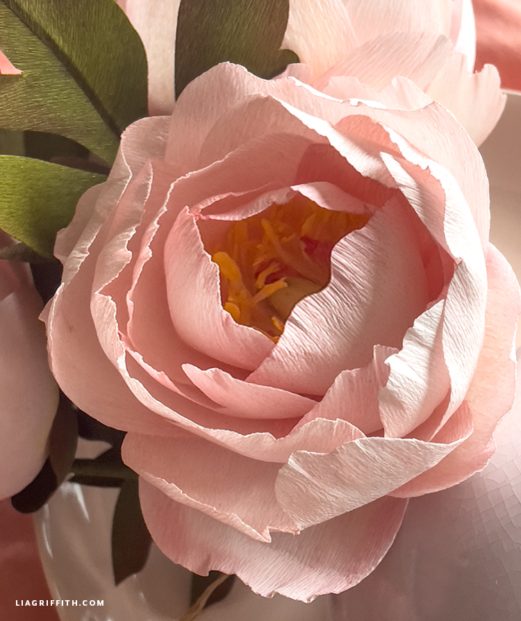 Crepe Paper Abalone Pearl Peony Template & Video Tutorial - Lia Griffith