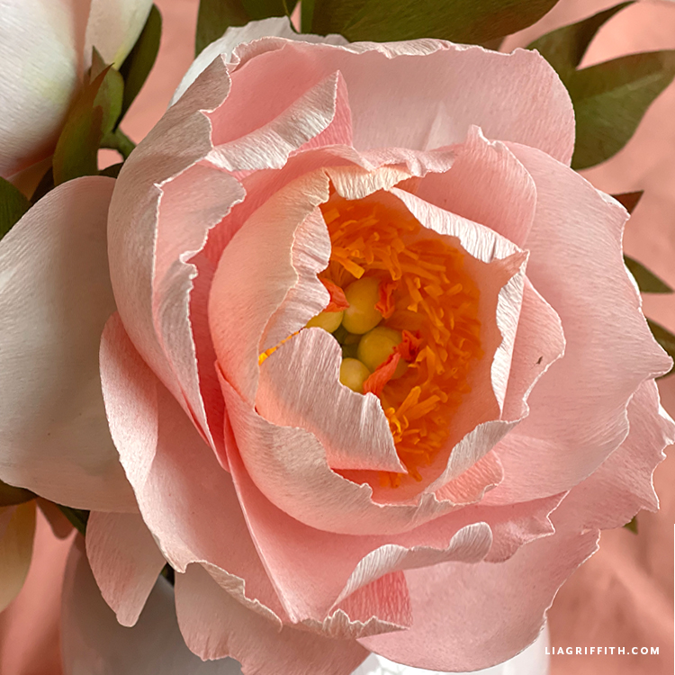 Crepe Paper Abalone Pearl Peony Template & Video Tutorial - Lia Griffith