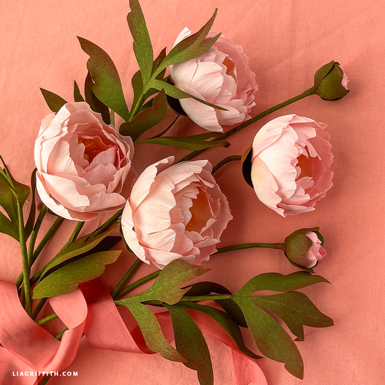Crepe Paper Abalone Pearl Peony Template & Video Tutorial - Lia Griffith