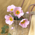 VIDEO: Felt Japanese Anemones DIY Flower Template & Tutorial - Lia Griffith