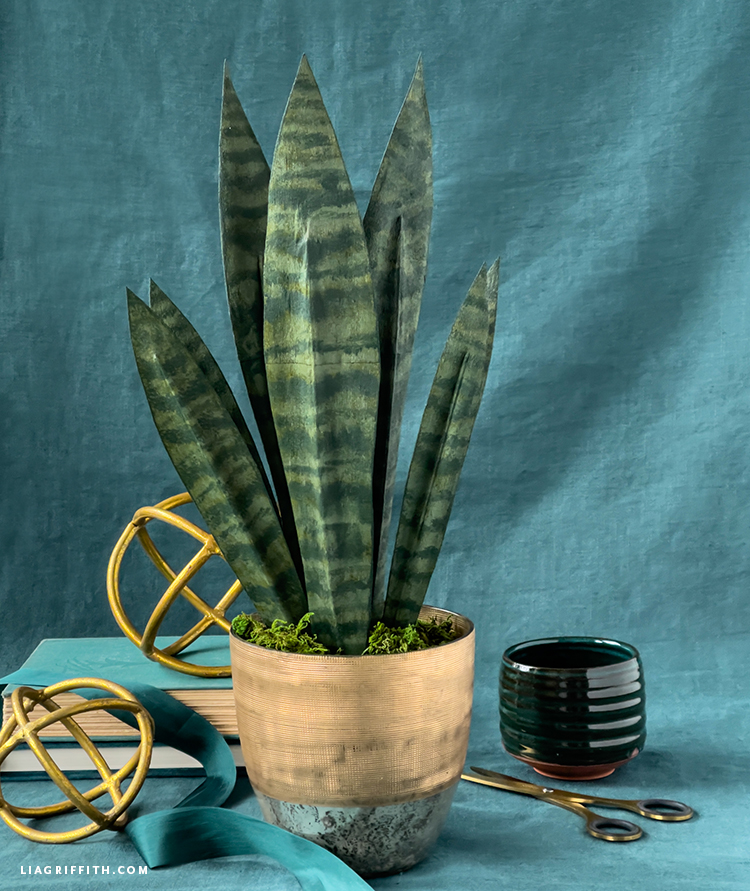 Painted Crepe Paper Snake Plant Template & Tutorial - Lia Griffith