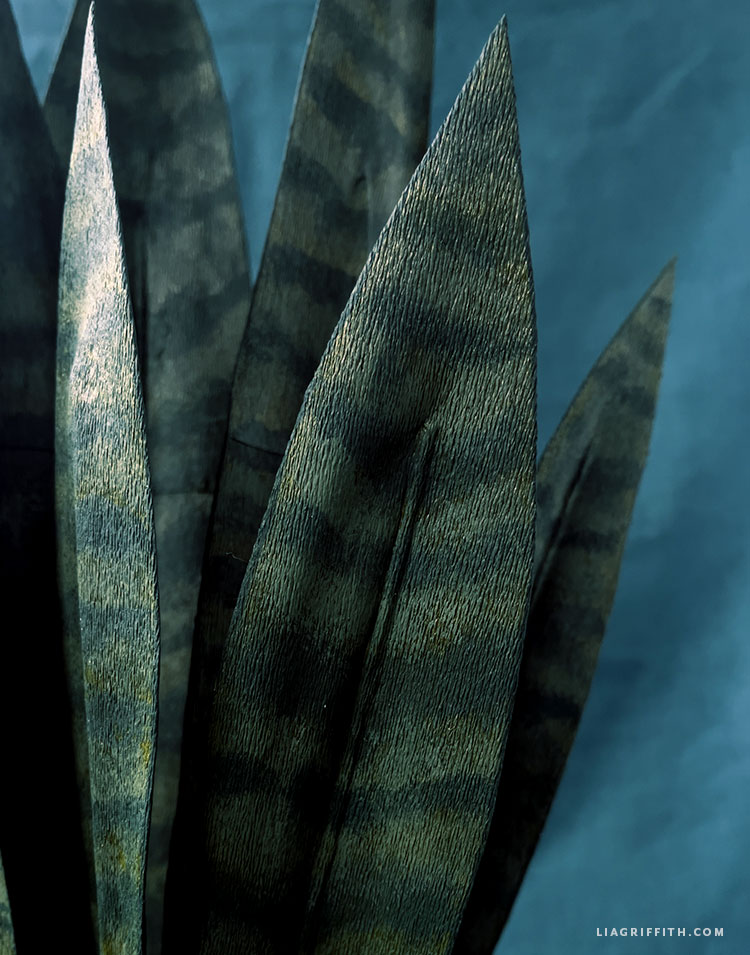 Painted Crepe Paper Snake Plant Template & Tutorial - Lia Griffith