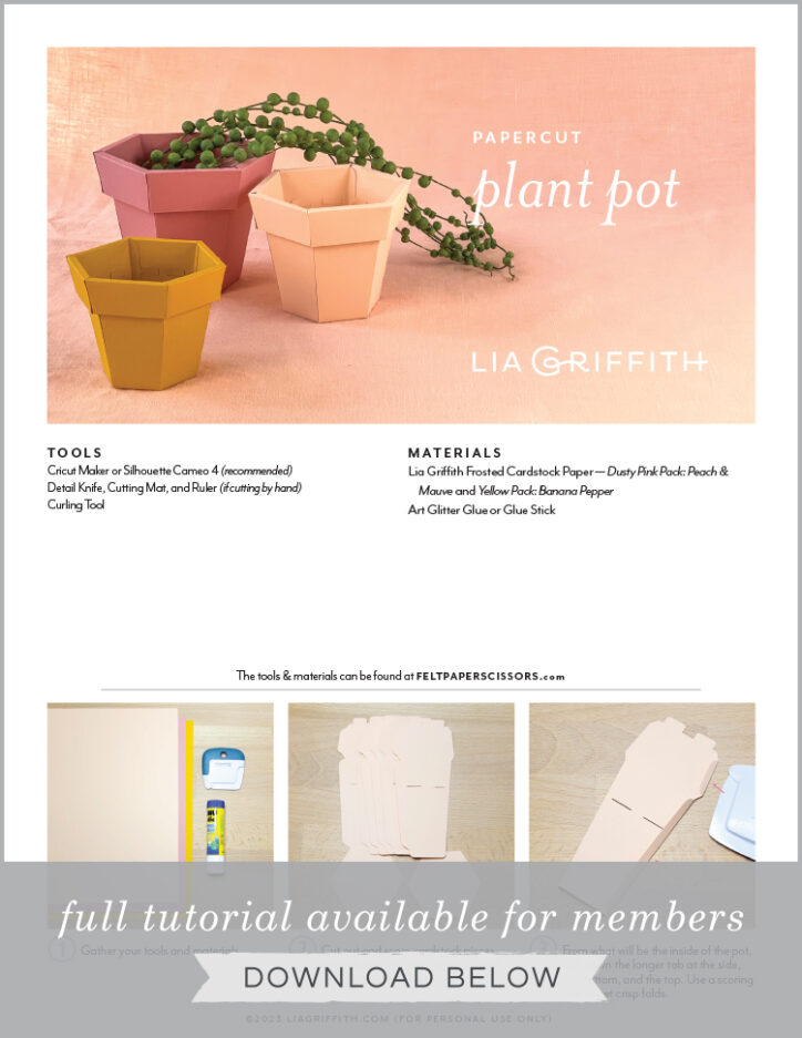 Paper Plant Pots DIY Template & Tutorial - Lia Griffith