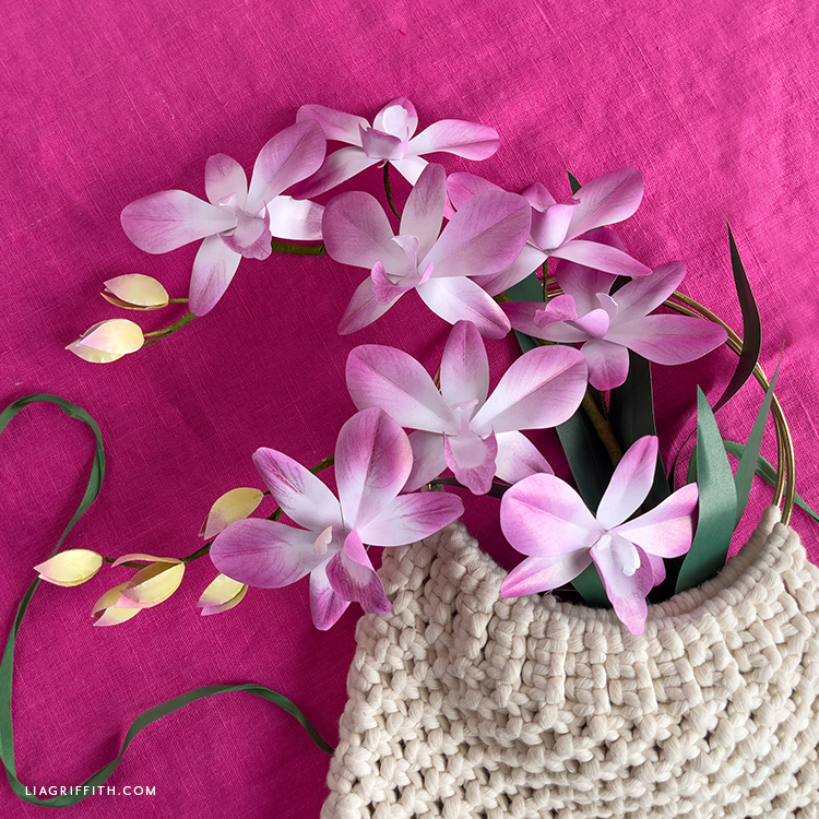 Frosted Paper Dendrobium Orchid Template & Tutorial - Lia Griffith