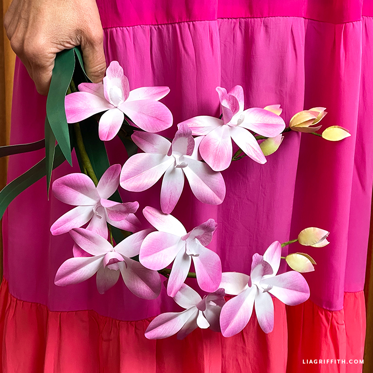 Frosted Paper Dendrobium Orchid Template & Tutorial - Lia Griffith