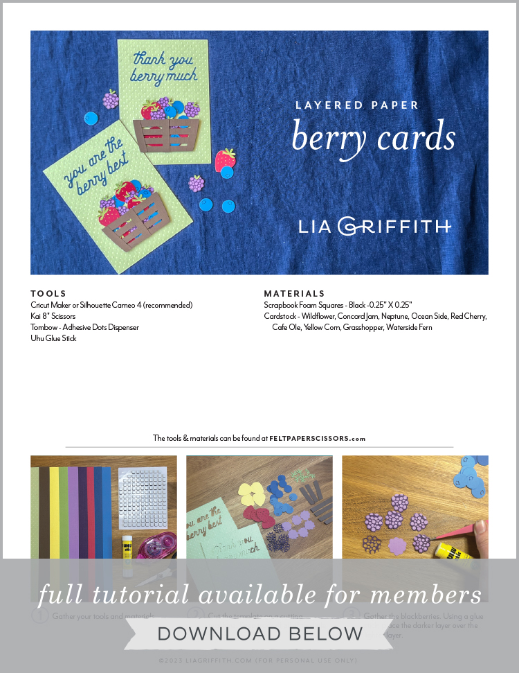 Layered Paper Berry Card - Lia Griffith