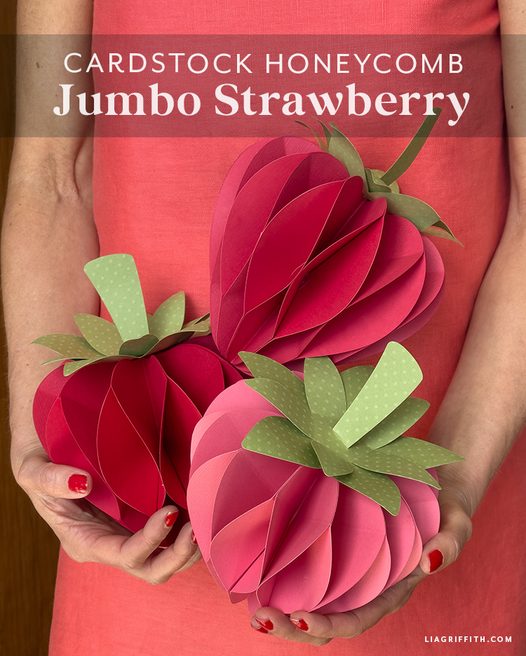 Jumbo Cardstock Honeycomb Strawberry - Lia Griffith