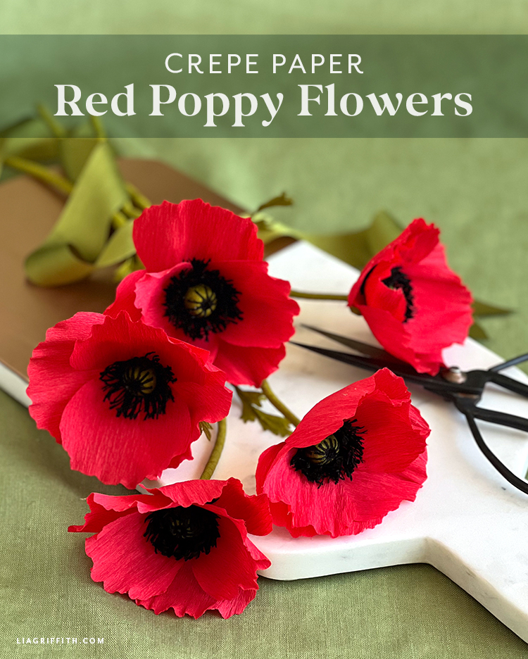 Crepe Paper Red Poppy - Lia Griffith