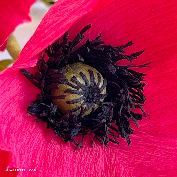 Crepe Paper Red Poppy - Lia Griffith