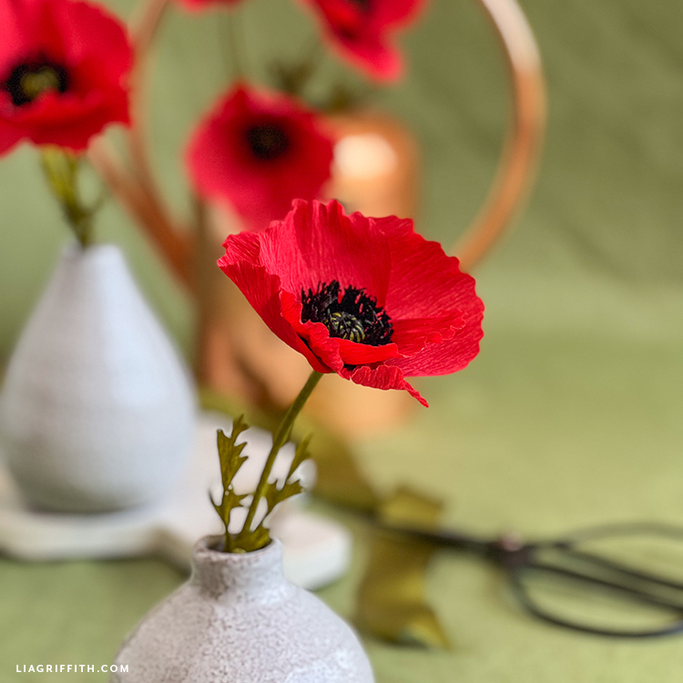 Crepe Paper Red Poppy - Lia Griffith