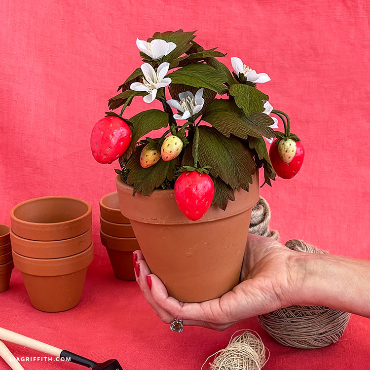 Crepe Paper Strawberry Plant - Member Make Workshop - Lia Griffith