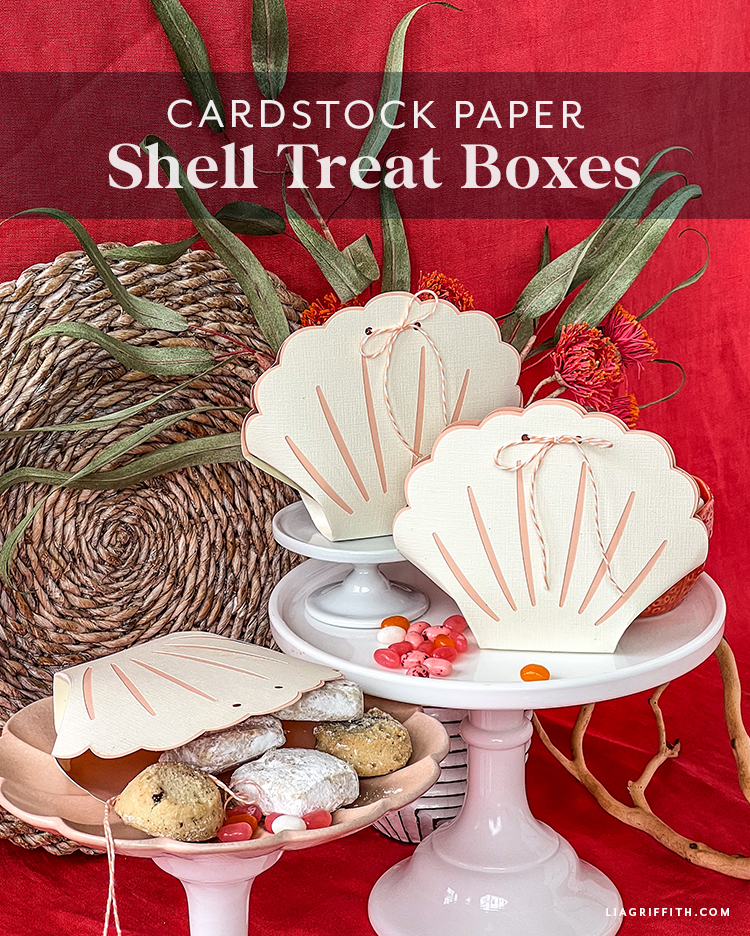 Seashell Treat Box - Lia Griffith