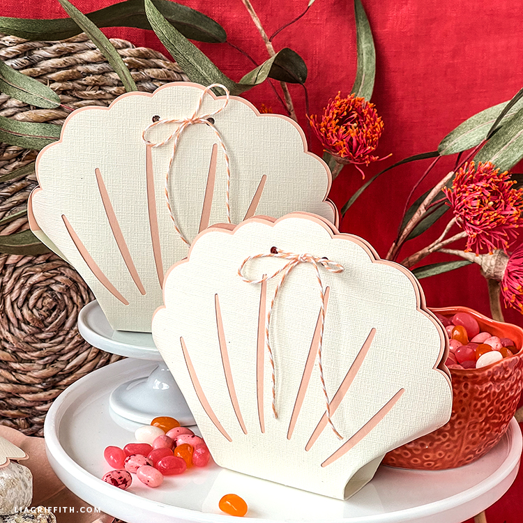Seashell Treat Box - Lia Griffith