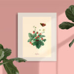 2023 June Collection - Lia Griffith