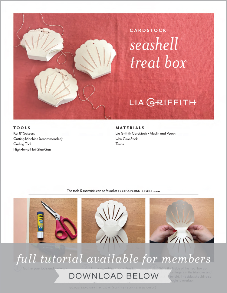 Seashell Treat Box - Lia Griffith