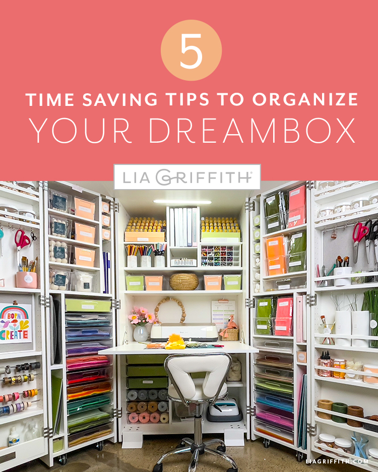 VIDEO: 5 Time-Saving Tips to Organize Your DreamBox 2 - Lia Griffith