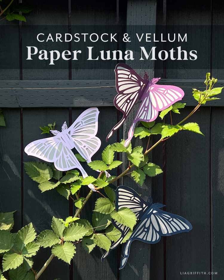 Cardstock & Vellum Luna Moths - Lia Griffith