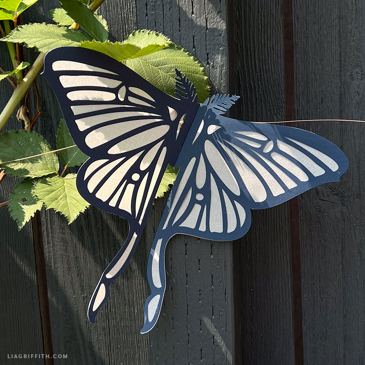 Cardstock & Vellum Luna Moths - Lia Griffith