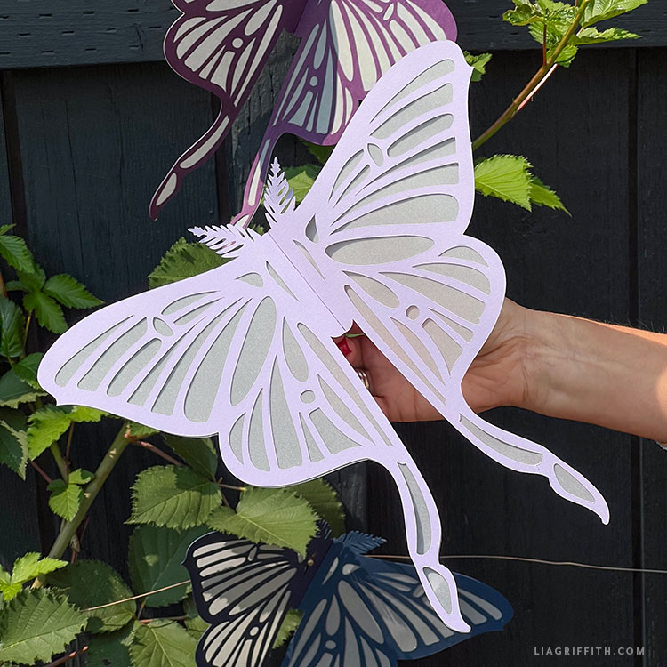 Cardstock & Vellum Luna Moths - Lia Griffith