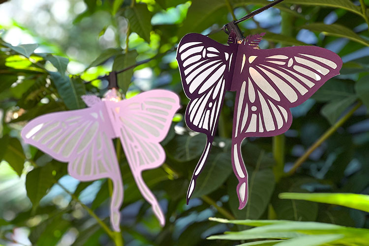 Cardstock & Vellum Luna Moths - Lia Griffith