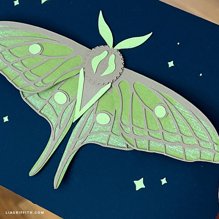 Layered Cardstock Moth & Lantern Cards - Lia Griffith