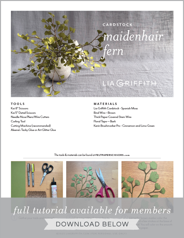 Cardstock Maidenhair Fern - Lia Griffith