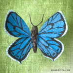 Crepe Paper Butterflies - Lia Griffith