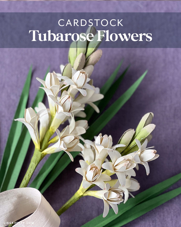 Cardstock Tuberose Flowers - Lia Griffith
