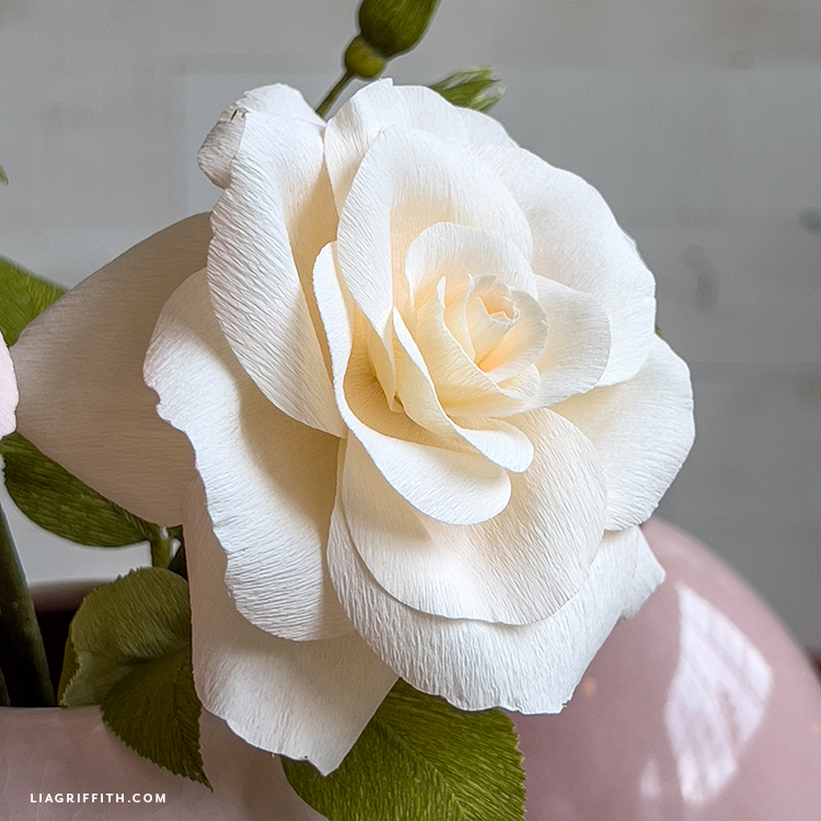 Crepe Paper Garden Roses - Lia Griffith