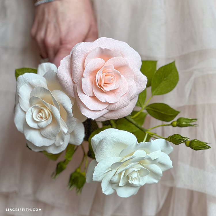 Crepe Paper Garden Roses - Lia Griffith