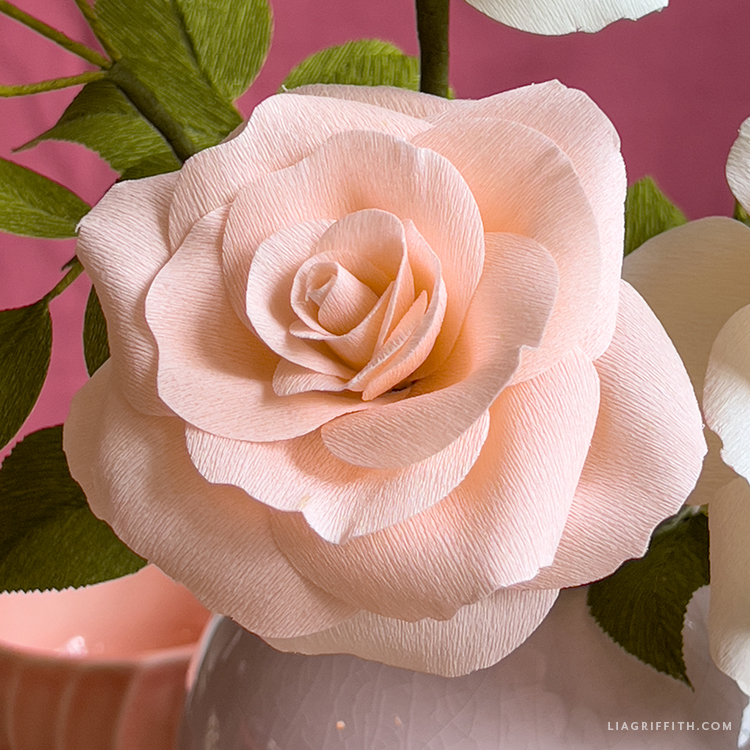 Crepe Paper Garden Roses - Lia Griffith