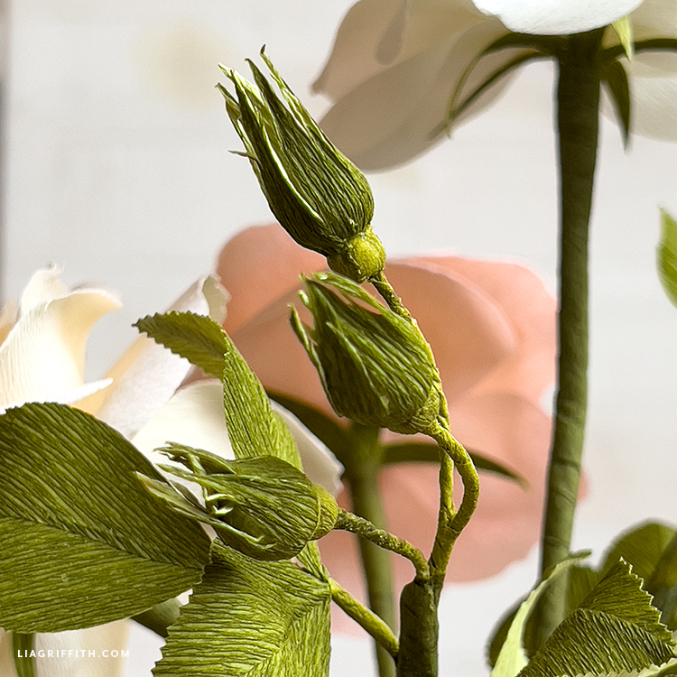 Crepe Paper Garden Roses - Lia Griffith