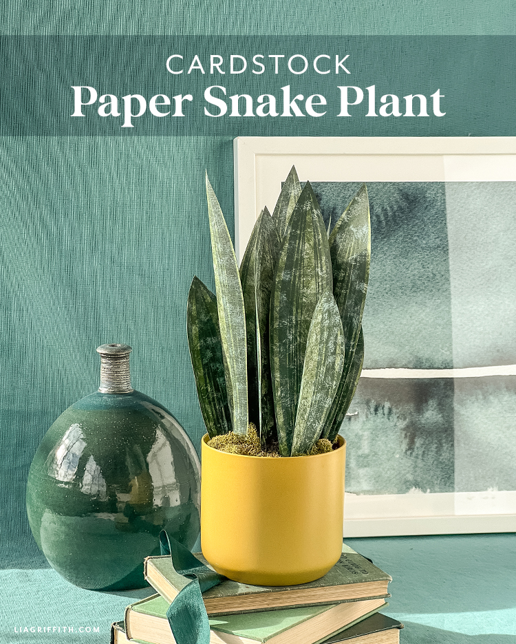 Cardstock Snake Plant - Lia Griffith