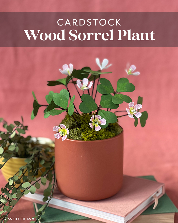 Cardstock Wood Sorrel - Lia Griffith