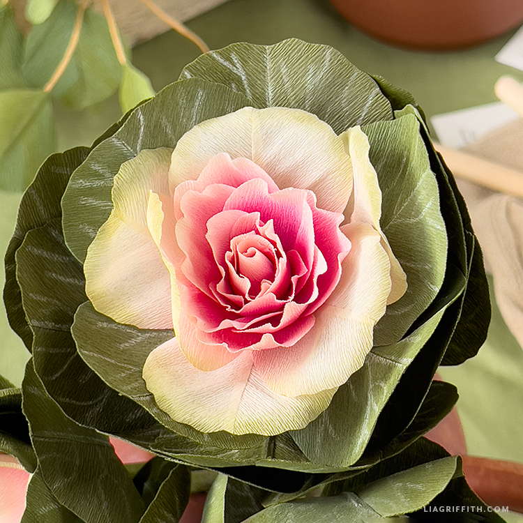 Crepe Paper Ornamental Cabbage - Member Make Workshop - Lia Griffith