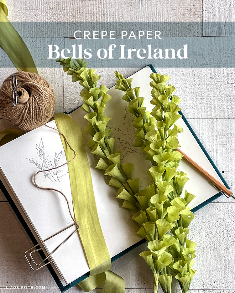 Crepe Paper Bells of Ireland - Lia Griffith