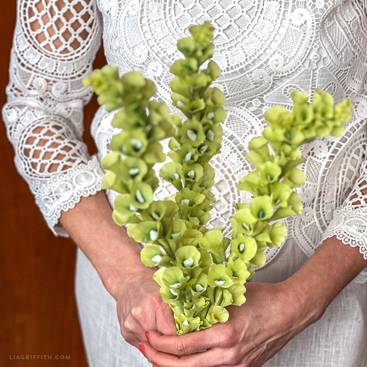 Crepe Paper Bells of Ireland - Lia Griffith