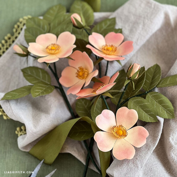 Cardstock Wild Roses & Buds - Member Make Workshop - Lia Griffith