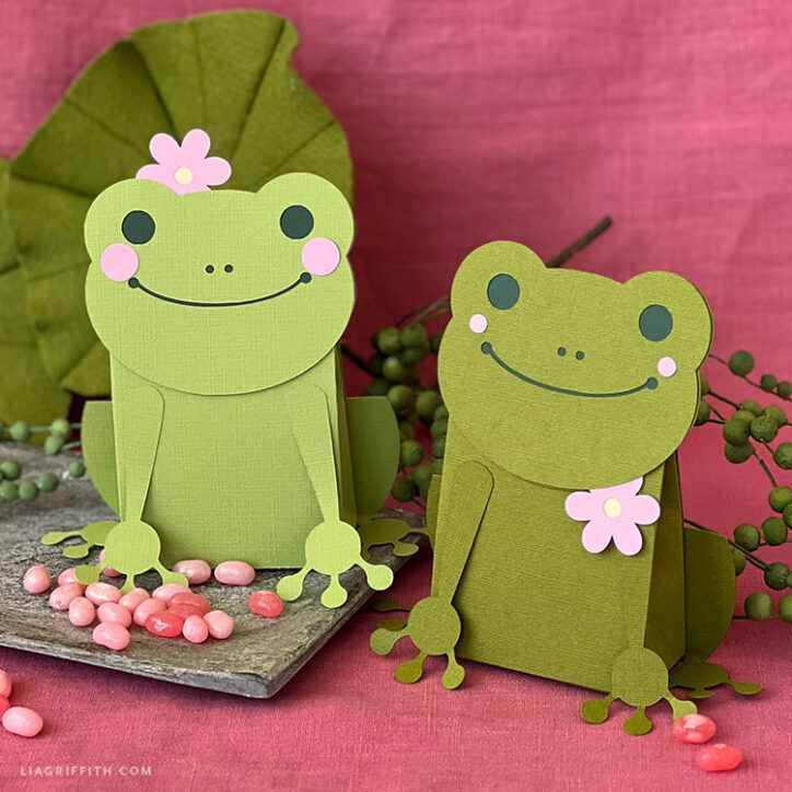 Froggy Treat Boxes - Lia Griffith