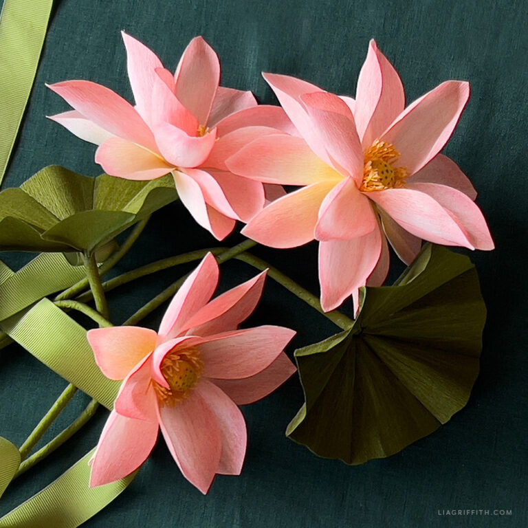 Crepe Paper Lotus Video Tutorial - Lia Griffith