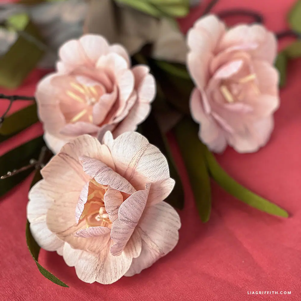 Griffin Crepe Paper Flower Templates Making Paper Flowers – Miss
