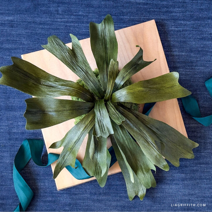 Create Your Own Mounted Crepe Paper Staghorn Fern
