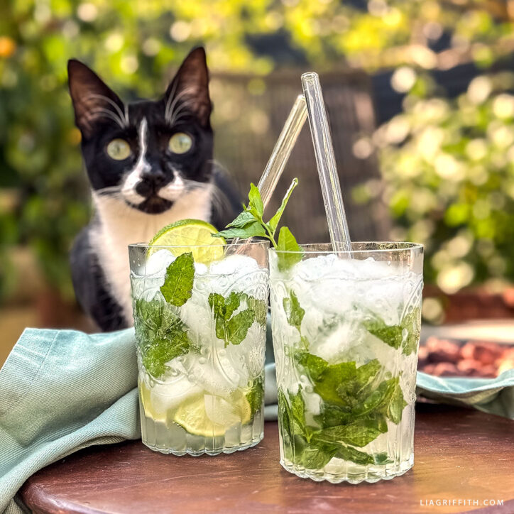 Lime & Mint Nojito + Sugar-free Simple Syrup - Lia Griffith