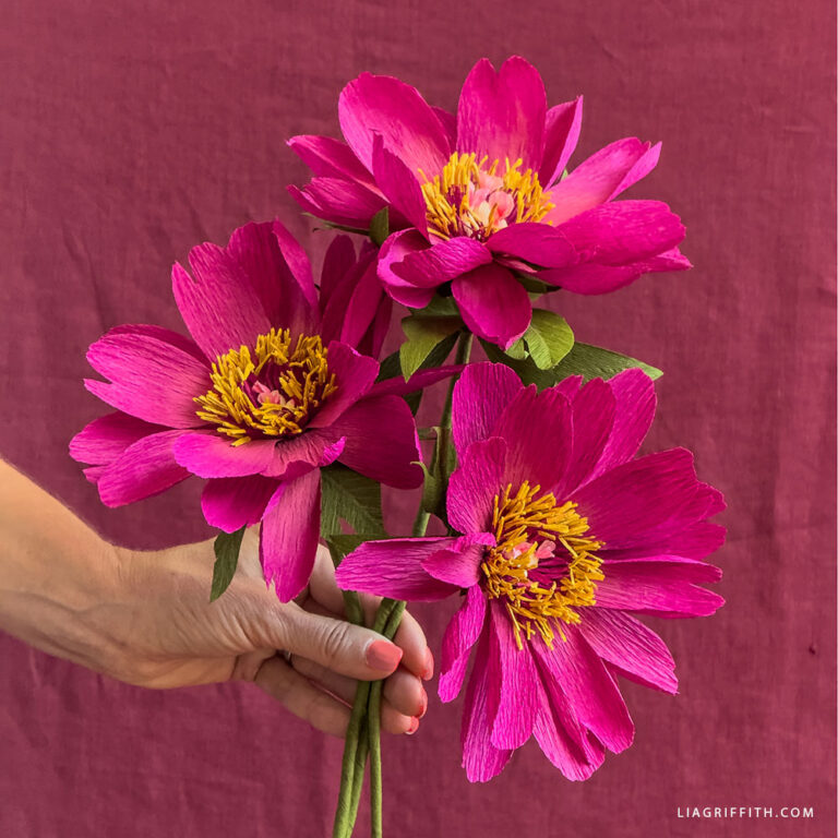 DIY Crepe Paper Peonies in Cream & Blush Colors - Lia Griffith