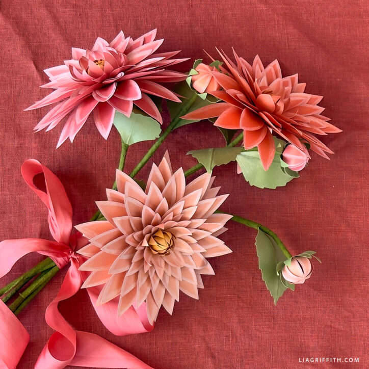 DIY Paper Dahlia & Seeded Eucalyptus Pattern