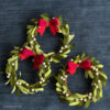 Crepe Paper Mistletoe Mini Wreath Video Workshop - Lia Griffith