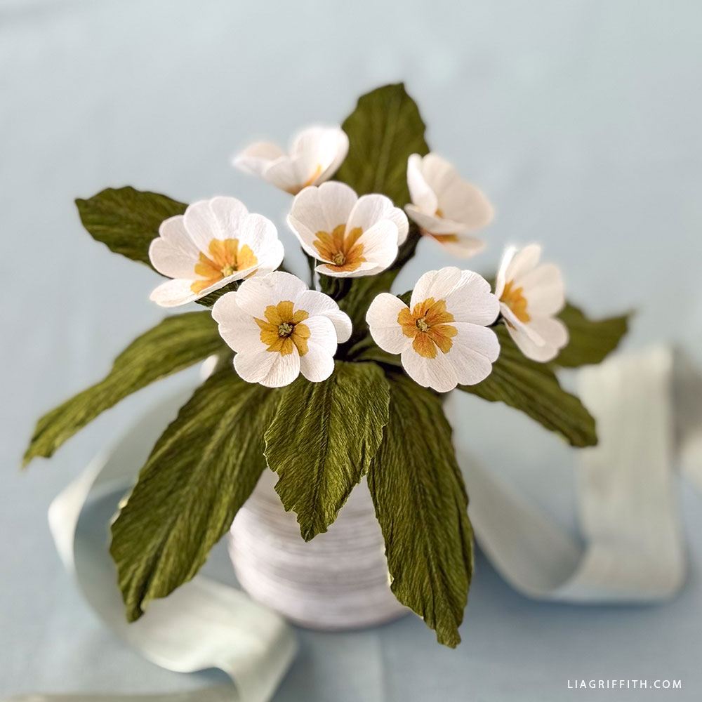 Crepe Paper Potted Primrose - Lia Griffith